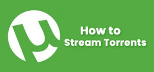 How to Stream Torrents Without Downloading - Techdim
