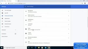 Chrome swf viewer - snoloco
