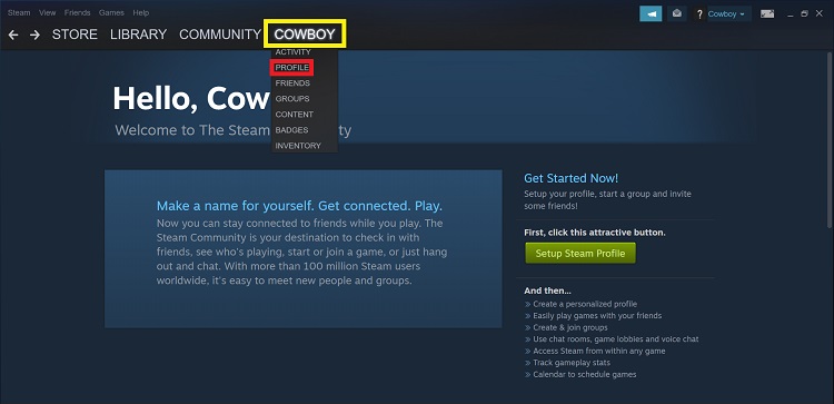 How To Remove Past Names on Steam? Guide to Know - Techdim