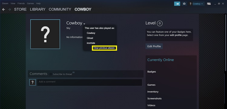 How To Remove Past Names on Steam? Guide to Know - Techdim