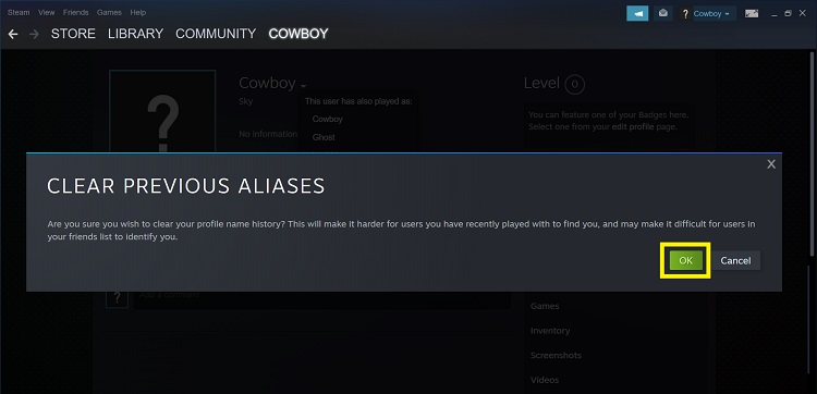 How To Remove Past Names on Steam? Guide to Know - Techdim