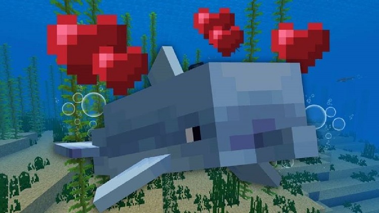 How to Breed Dolphins in Minecraft | Easy Guide - Techdim