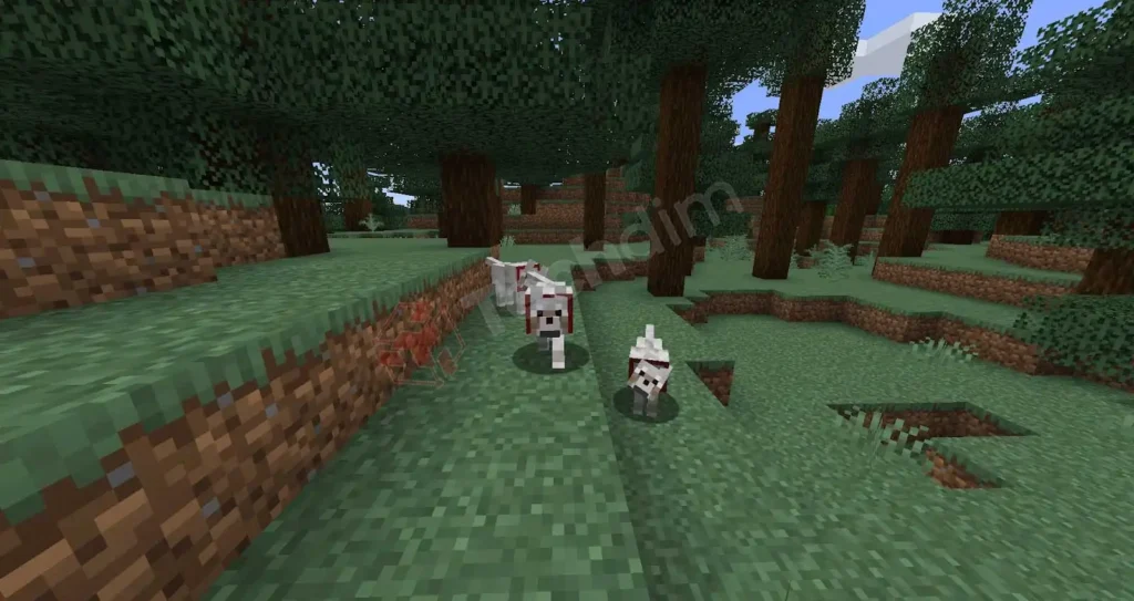 How To Get Wolves To Spawn In Minecraft (Easiest Way) - Techdim