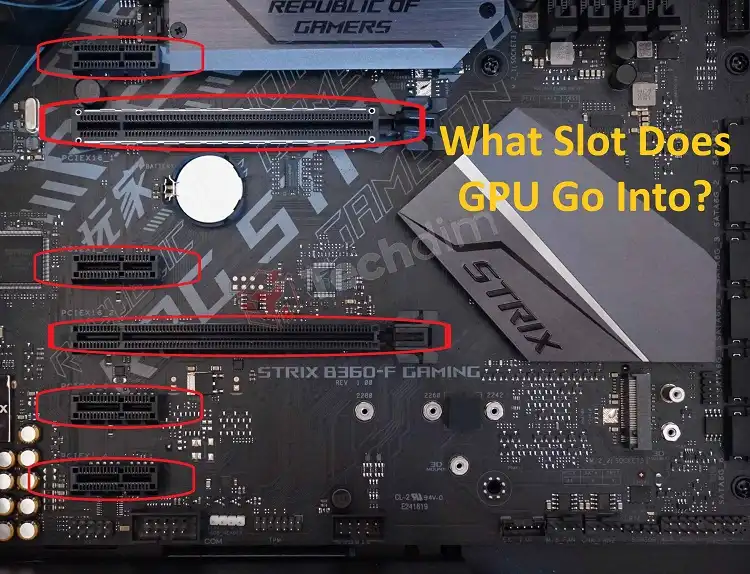 What Slot Does GPU Go Into? | Everything You Need To Know - Techdim