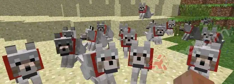 How To Get Wolves To Spawn In Minecraft (Easiest Way) - Techdim
